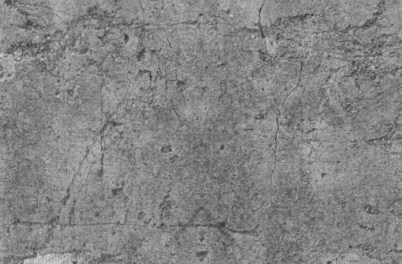 Concrete Densifier vs Sealer: What are the Differences?